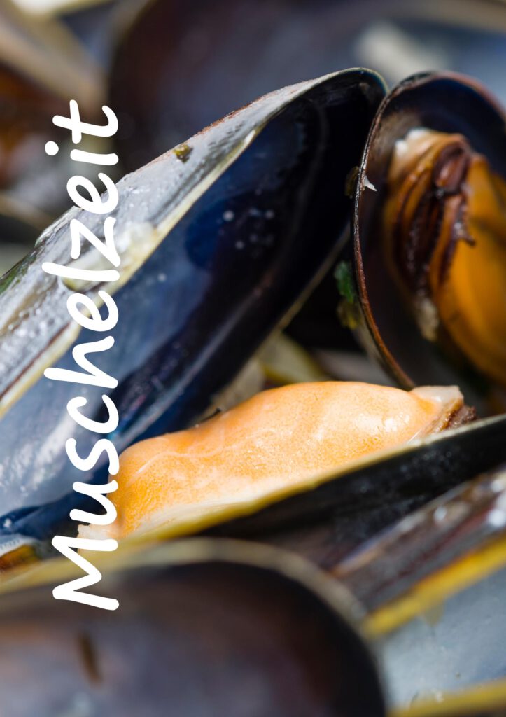 Muschel Flyer – KartenDesign-Nord